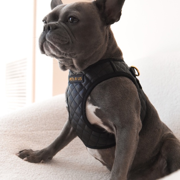 PETs R US | Dog | Pets R Us Black Gold Step In Vest Dog Harness Quilted ...